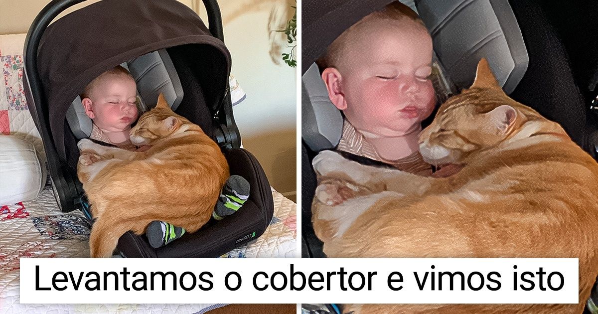 15 Fotos que nos ajudam a lembrar como o mundo está cheio de coisas ...