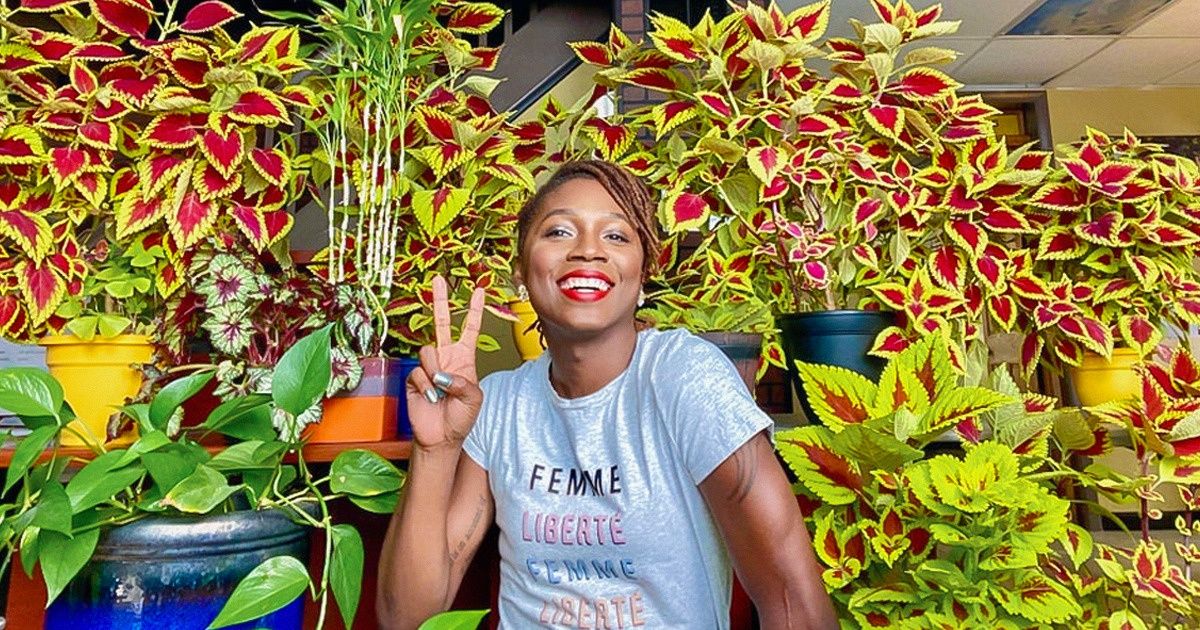 20 Fotos de filodendro, uma planta popular entre principiantes e ...