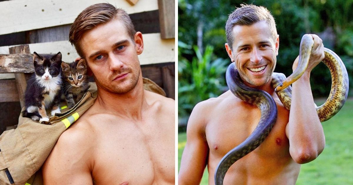 Na Austrália, bombeiros gatos criam calendário por uma boa causa / Incrível