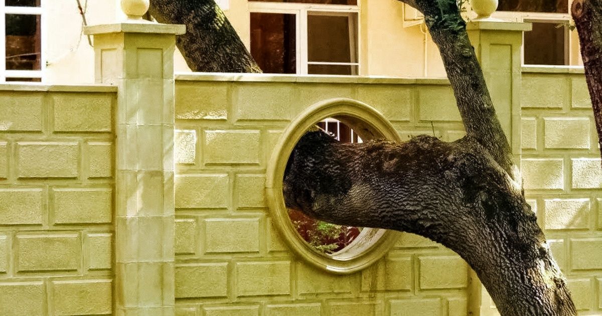 18 Fotos poderosas que são capazes de provar que ainda há esperança no ...