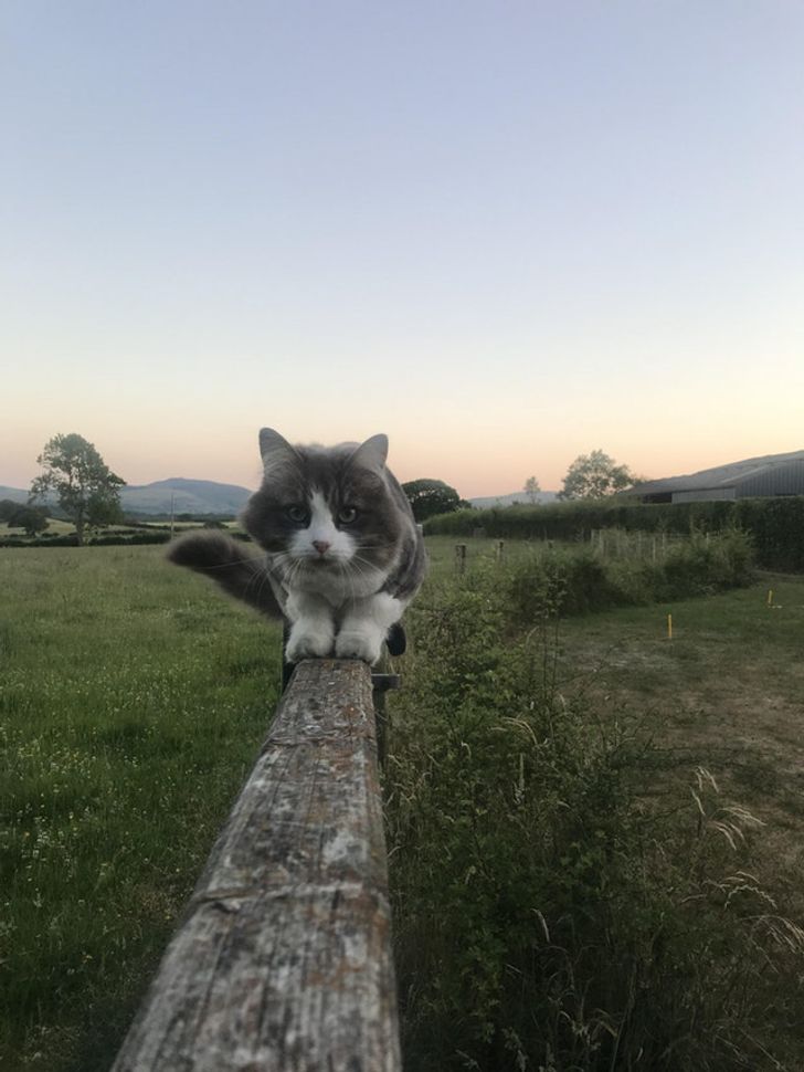 18 Imagens sem edição para brincar com sua percepção das coisas / Incrível