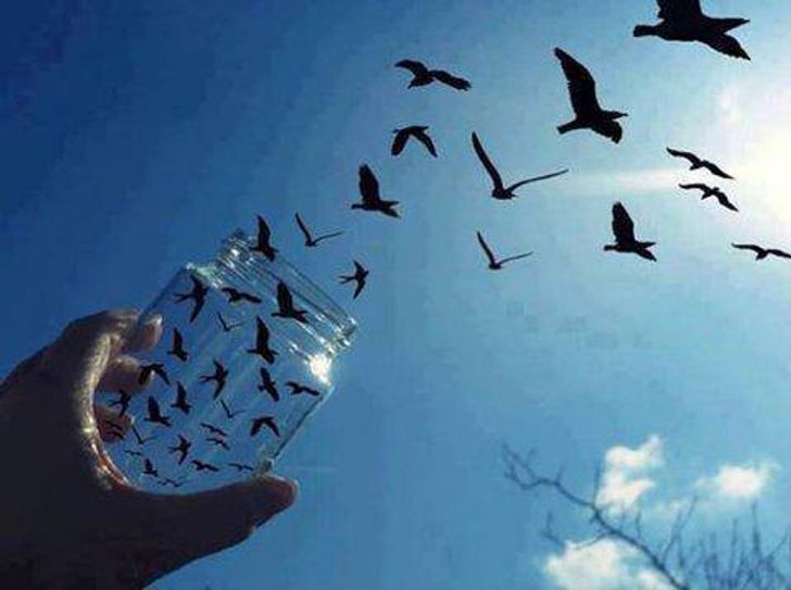 18 Imagens sem edição para brincar com sua percepção das coisas / Incrível